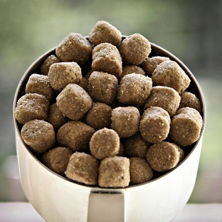 Best Dog Food For Yorkie Puppies | All Things Yorkies