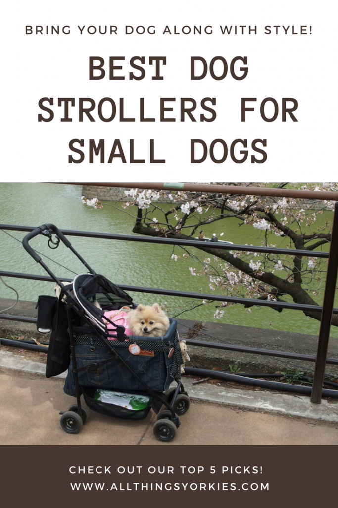 Best Dog Strollers for Small Dogs - Some of our Favorites | All Things ...